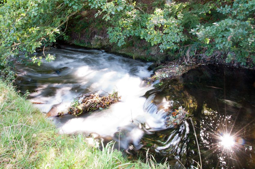 Holiday Park and Campsite Map - Sherwood Forest Holiday Park